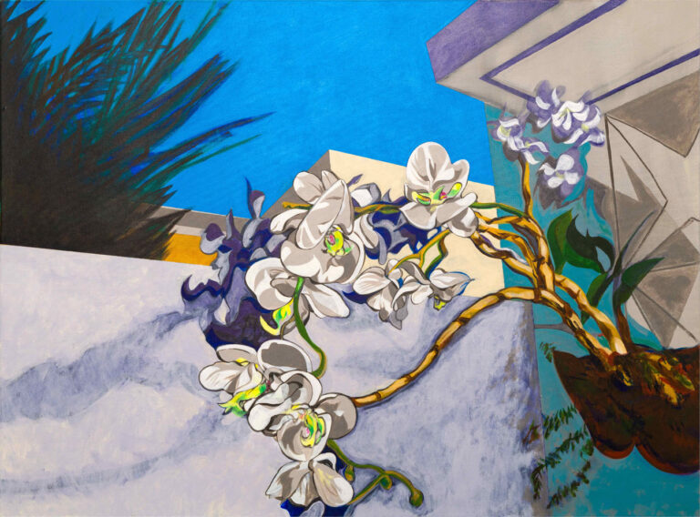 Orquídeas - Galería Petrus